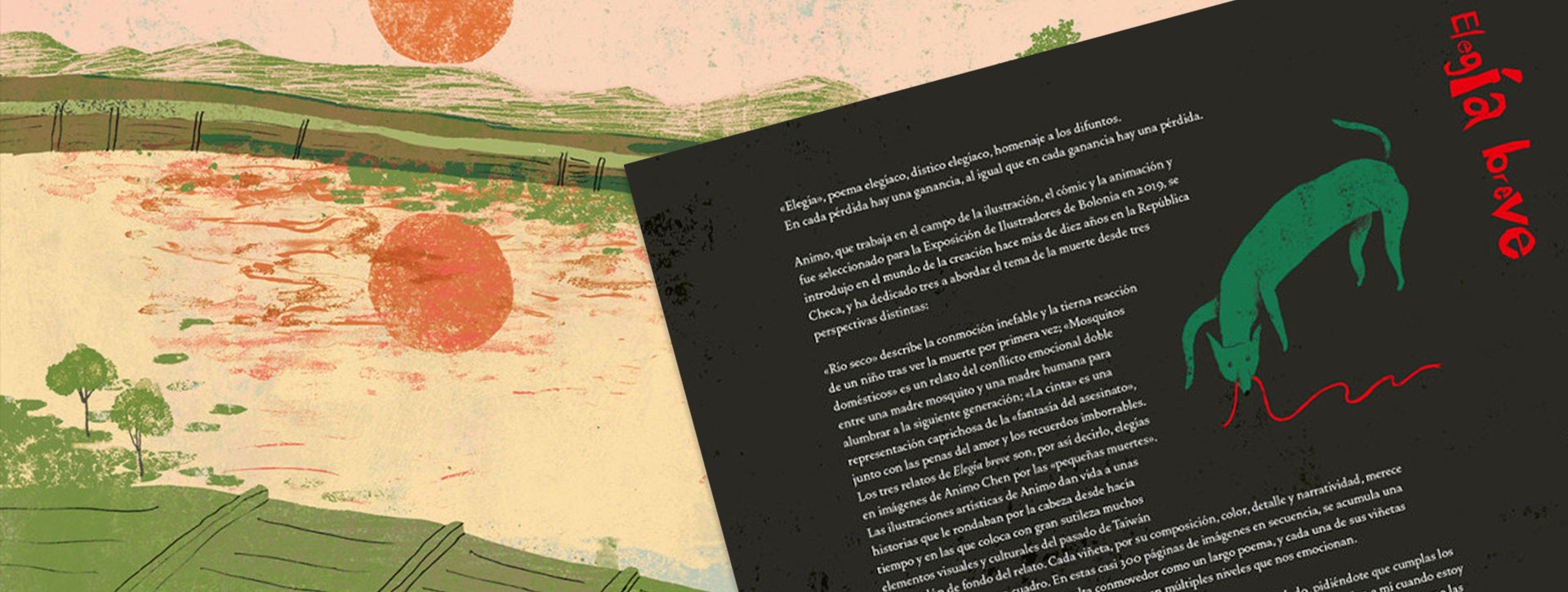 Descubre Nuevos Libros | Tienda Online | Barbara Fiore Editora